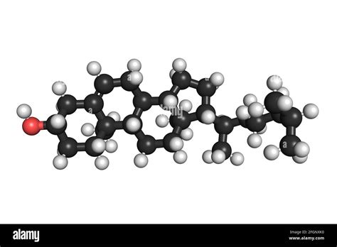 La molécule de cholestérol lipide organique D rend la structure chimique Photo Stock Alamy