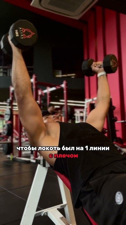 РАЗВЕДЕНИЕ ГАНТЕЛЕЙ ЛЕЖА НА НАКЛОННОЙ СКАМЬЕ Youtube