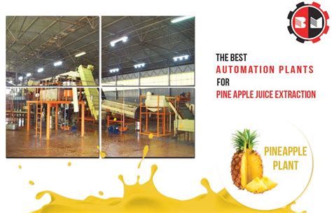 Automated Pineapple Juice Extraction