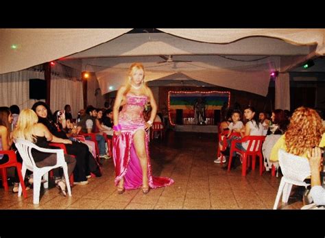 Dingounlimited Reina Trans