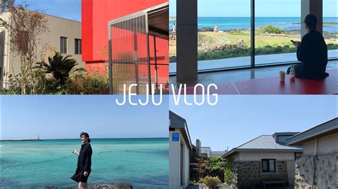 제주여행 Vlog🍊 아녜스의앞치마카페공백제주핫플뽀개기 Youtube