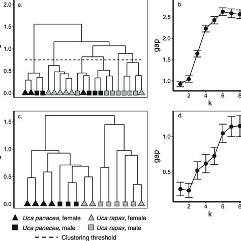 Cluster Analysis A C And Gap Statistic Calculation Results B D For