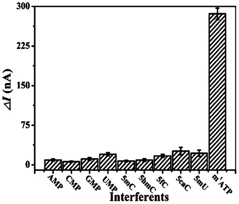 Method For Detecting N1 Methyladenine By Using Ti Mof Based Photoelectrochemical Sensor Eureka