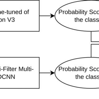 Sample Images From Plant Seeds Dataset From 12 Classes Download Scientific Diagram