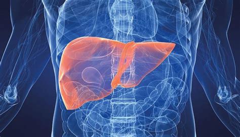 5 أنواع لالتهاب الكبد الوبائي د لا علاج له