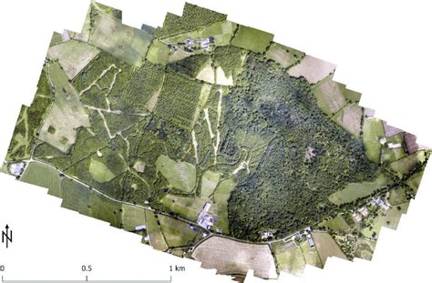 Quantifying And Monitoring Tree Canopy Cover 2excel Geo
