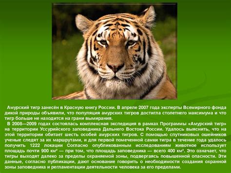 Вымирающие виды животных презентация онлайн