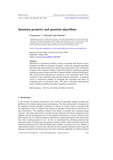 Pdf Spin Network Quantum Simulator