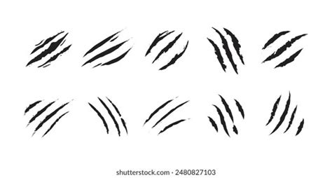 Claw Scratch Illustration Vector Set Stock Vector Royalty Free
