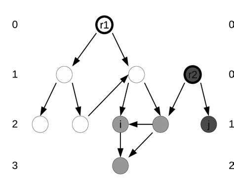 acyclic directed graph and its rooted depth white vertices belong only