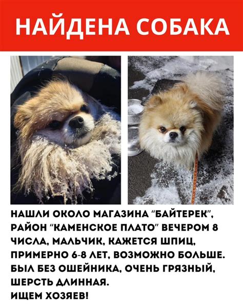 КС 4 лапы объявления Здравствуйте Можно вас пожалуйста выложить объявление Пропала собака