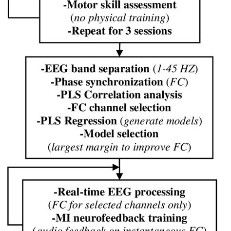 Experimental Workflow For Data Collection And Analysis Download Scientific Diagram