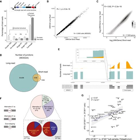 Single Cell Multi Omics Defines The Cell Type Specific Impact Of