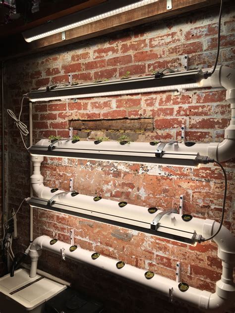 Nft Hydroponic System Diy At Matthew Brunskill Blog
