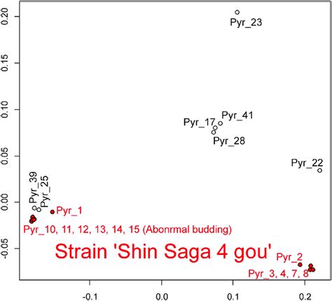 Multidimensional Scaling Representation Using Nuclear DNA Data Of 19