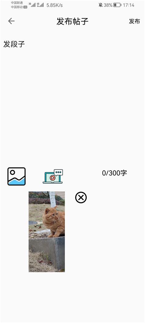 Github Mr Than Summer