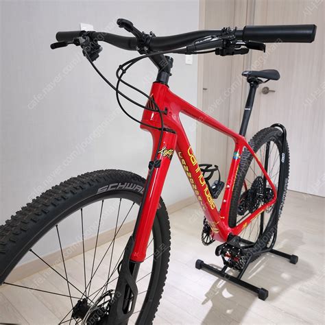 캐논데일 Mtb 자전거 로드바이크사이클 중고나라