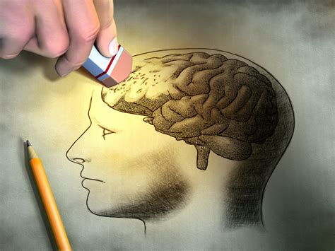 Alzheimers Studies Show Key Role Of Sigma 1 Brain Receptor In Disease