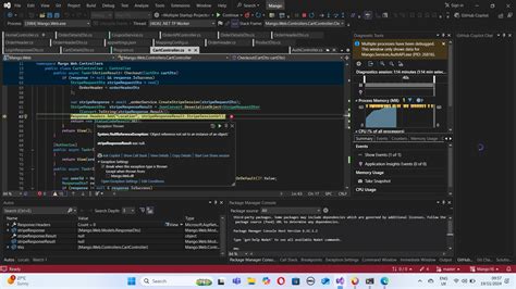 stripe not working nullreferenceexceptionobject reference not set to an instance of an object