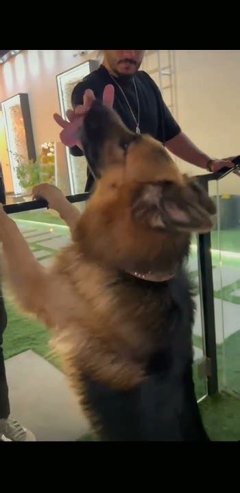 جديد سارة عصام في بيت أريج و منذر Ghaithmarwan Youtube