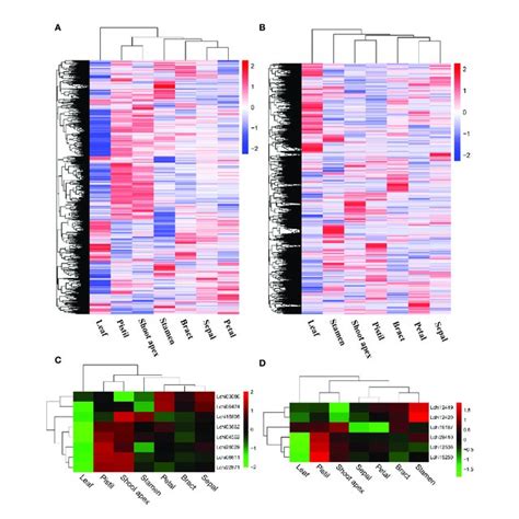 Hierarchical Clustering Analysis And The Relative Expression Profile Download Scientific