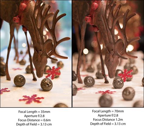 understanding depth of field a beginner s guide