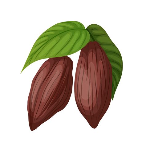 Cocoa Bean Cartoon Vector 17420188 Vector Art At Vecteezy
