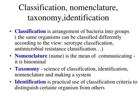 PPT Classification Nomenclature Taxonomy Identification PowerPoint Presentation ID