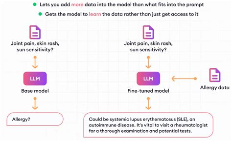 What Is Large Language Model Llms Fine Tuning Shrijayan