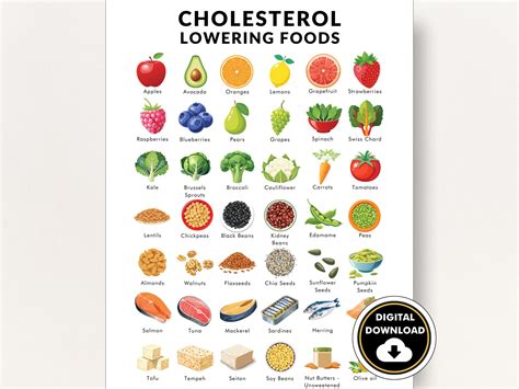 Cholesterol Lowering Foods List Low Cholesterol Diet Printable Pdf
