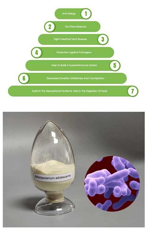 Bifidobacterium Adolescentis Buy Bifidobacterium Adolescentis Product