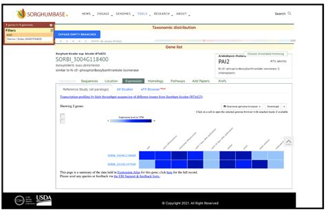 Sorghumbase Post Regulation Of Sorghum Root Growth And Low Nitrogen Tolerance By L Tryptophan