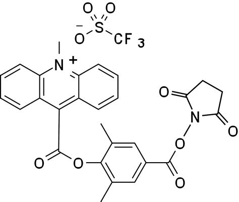 N Me Dmae Nhs Ester Aat Bioquest