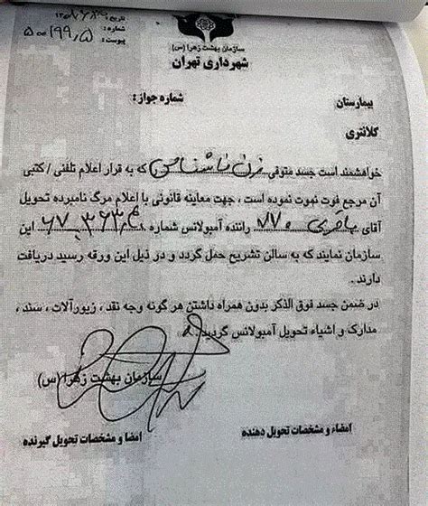 همه چیز درباره پرونده نیکا شاکرمی از ادعای شکنجه تا پیام‌های آخر خبرگزاری مهر اخبار ایران و