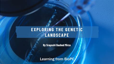 Start Stop And The Orf Mapping The Genetic Landscape