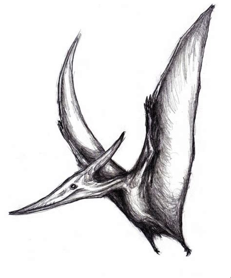 Pin Em Jurassic Park Halloween Em 2024 Arte Com Tema De Dinossauro