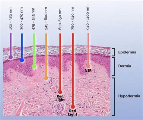 How To Use Red Light Therapy Best Device Organically Becca