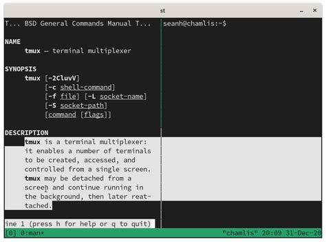 Seanhcc Copy And Paste In Tmux