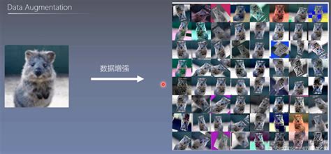 Pytorch框架学习（6）——transforms与normalizetransformsnormalize Csdn博客