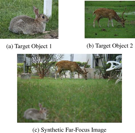 figure 3 from focal stack representation and focus manipulation