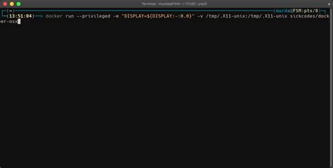 How To Install Macos Catalina In A Docker Container On Linux