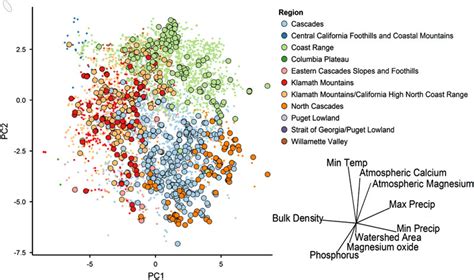 Principal Component Analysis Using Standardized Natural Gradient Download Scientific Diagram