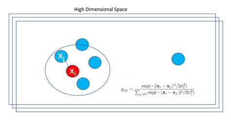 T Distributed Stochastic Neighbor Embeddingt Sne