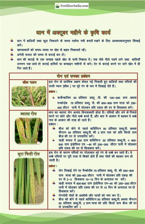 Kharif Paddy Monthly Agricultural Activity October