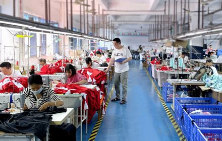 Production Capacity Showcase Professional Production Team