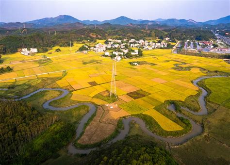 气象发力 描绘秋收好丰景 经济科技 人民网