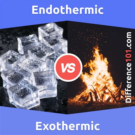 Endothermic Vs Exothermic 5 Key Differences Pros Cons Examples