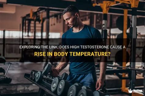 Exploring The Link Does High Testosterone Cause A Rise In Body Temperature Medshun