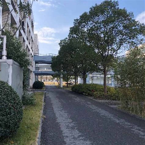 The Experimental Environment There Are Buildings And Shade Occlusion Download Scientific Diagram