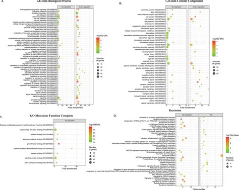 Go And Reactome Enrichment Pathway Analysis Of Up And Down Regulated Download Scientific